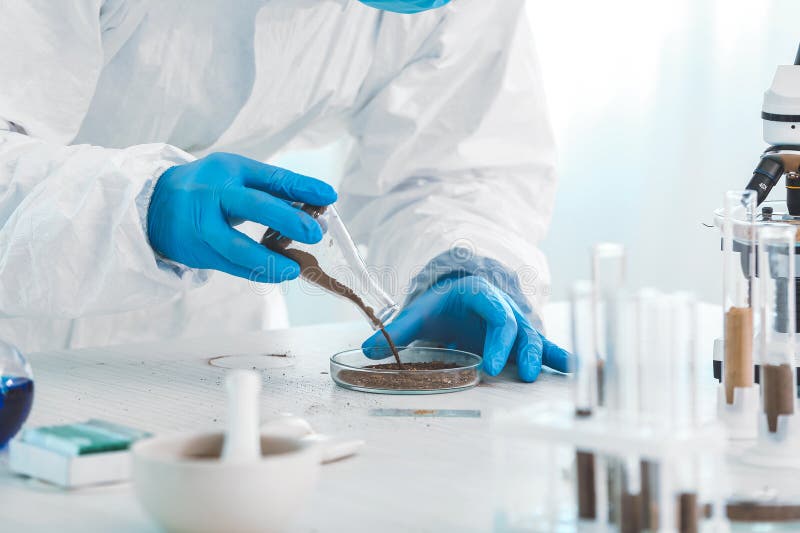 Scientist Studying Samples of Soil in Laboratory Stock Photo - Image of ...