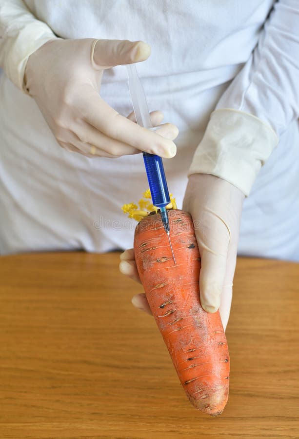 Scientist with Syringe and Carrot Stock Photo - Image of knowledge ...