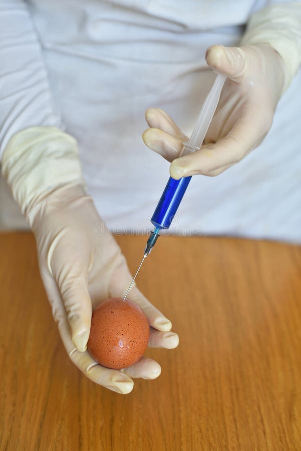 Scientist with Syringe and Egg Stock Photo - Image of medical ...