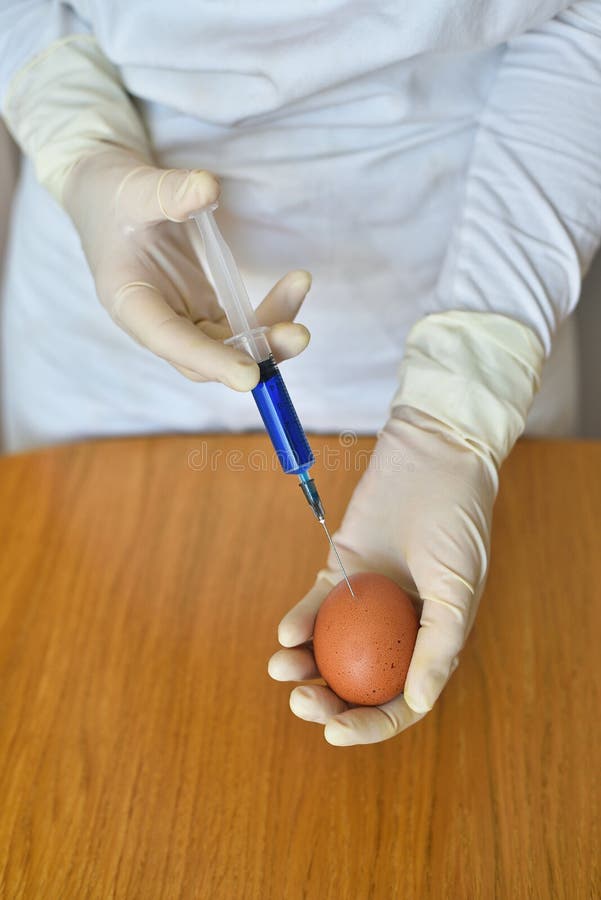Scientist with Syringe and Egg Stock Image - Image of chemistry ...