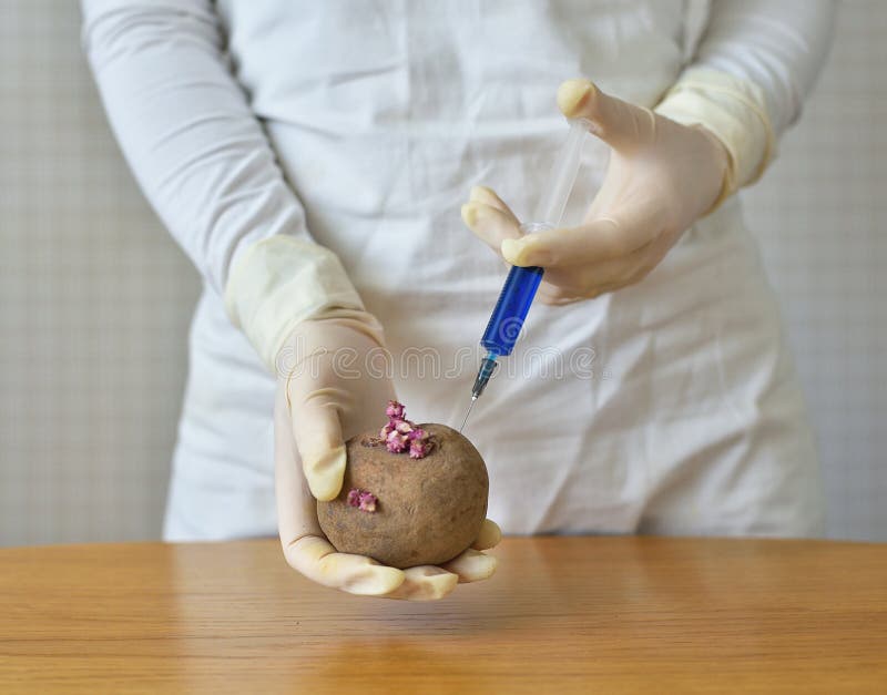 Scientist with Syringe and Potato Stock Photo - Image of molecule ...