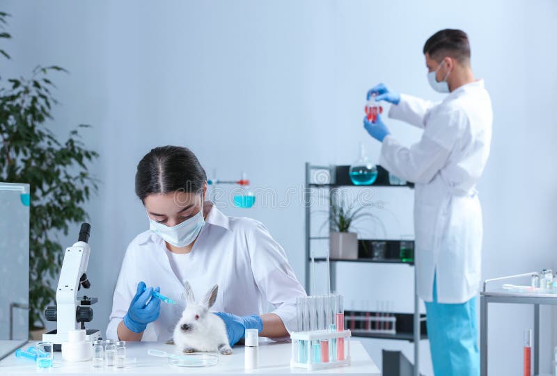 Scientist with Syringe and Rabbit in Chemical Laboratory. Animal ...
