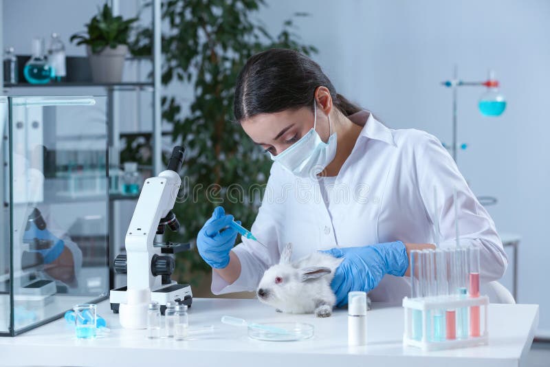 Scientist with Syringe and Rabbit in Chemical Laboratory. Animal ...