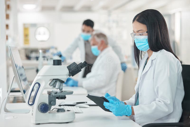Scientist, Tablet and Woman with Microscope in Lab for Medical Database ...