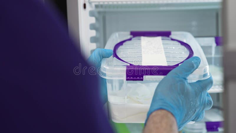 The Scientist Takes Samples of Materials for Experiments Out of the ...