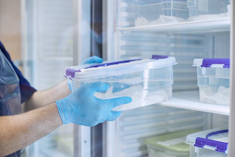 The Scientist Takes Samples of Materials for Experiments Out of the ...