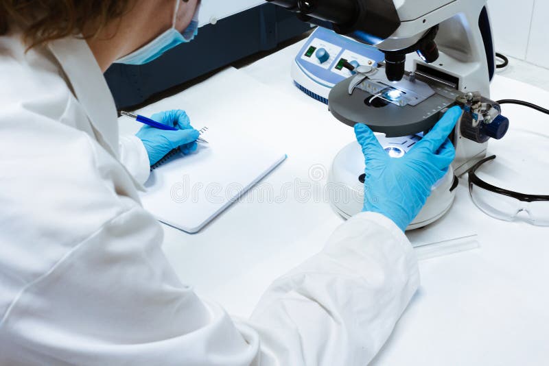 Document Under Microscope Stock Photos - Free & Royalty-Free Stock ...