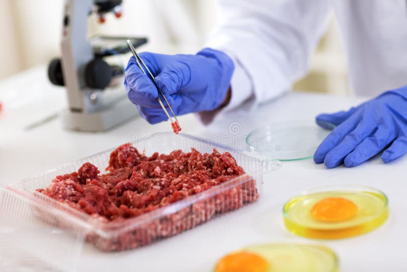 Scientist Taking Sample of Meat To Making Test Quality, Food Qua Stock ...