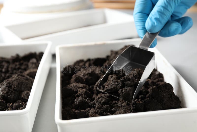 Taking a Soil Sample on a Field Stock Photo - Image of agriculture ...