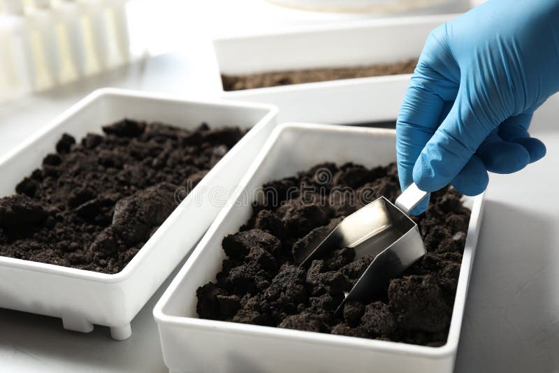Scientist Taking Soil Sample from Container. Laboratory Research Stock ...