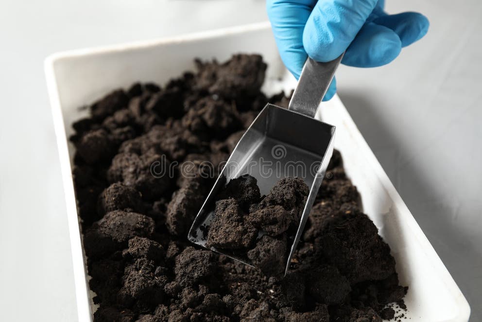 Scientist Taking Soil Sample from Container. Laboratory Research Stock ...