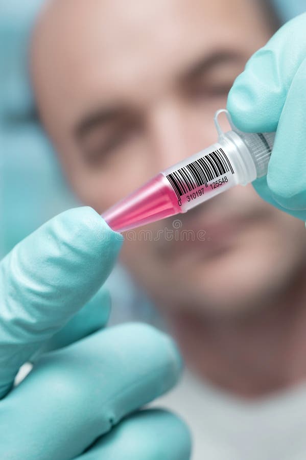 Scientist or Tech Holds Liquid Biological Sample Stock Photo - Image of ...