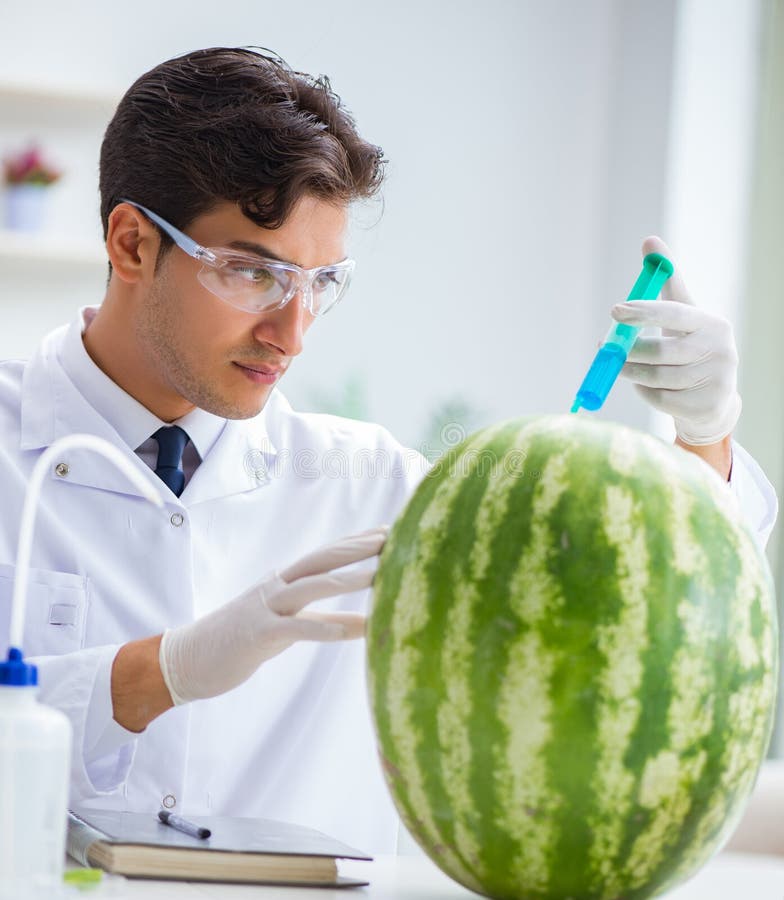 Scientist Testing Watermelon in Lab Stock Photo - Image of healthy ...
