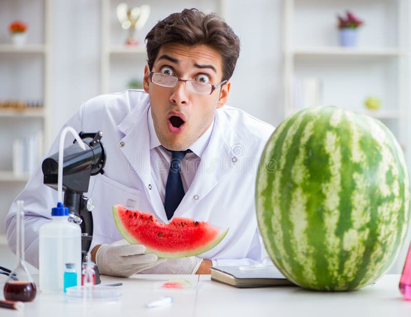 Scientist Testing Watermelon in Lab Stock Image - Image of microscope ...