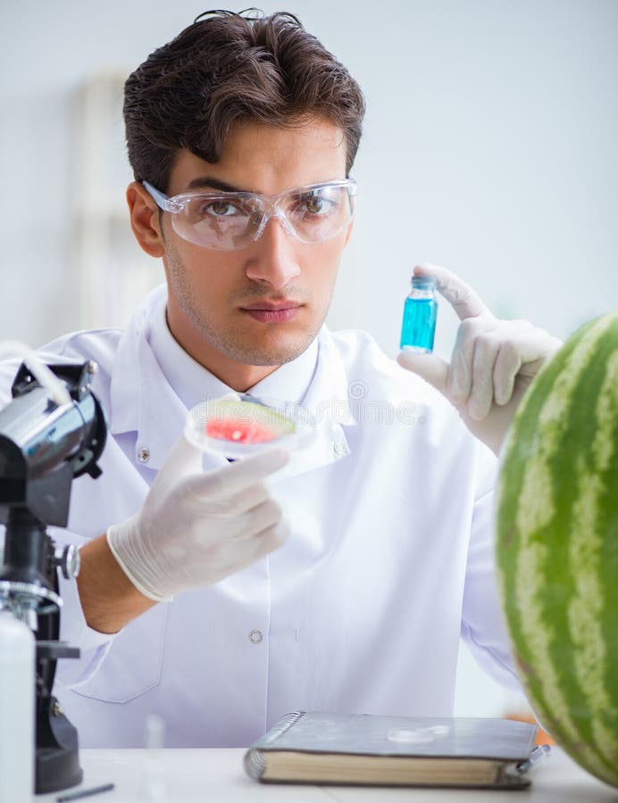 Scientist Testing Watermelon in Lab Stock Image - Image of fruit ...