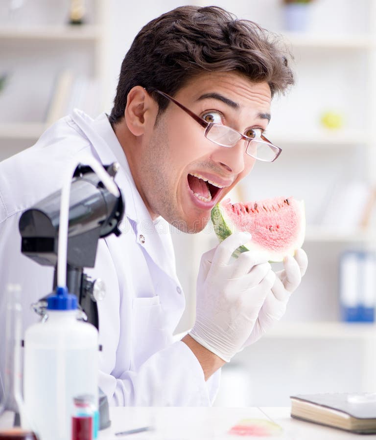 Scientist Testing Watermelon in Lab Stock Photo - Image of melon, fruit ...
