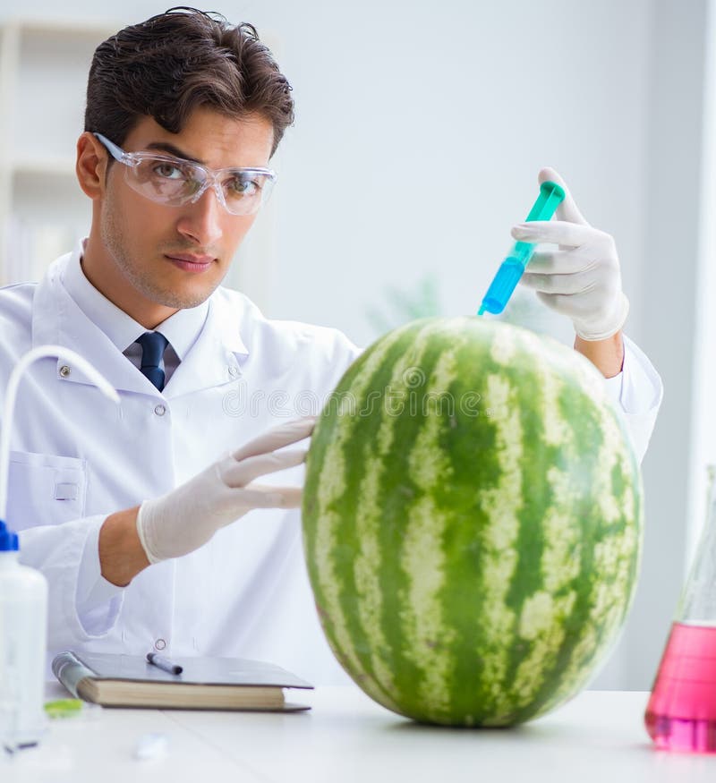 Scientist Testing Watermelon in Lab Stock Photo - Image of microscope ...