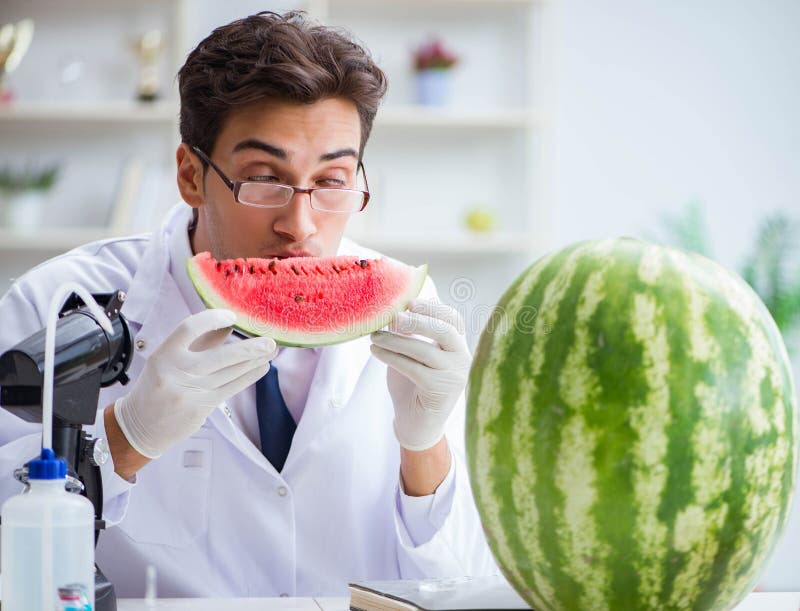 Scientist Testing Watermelon in Lab Stock Image - Image of dietician ...