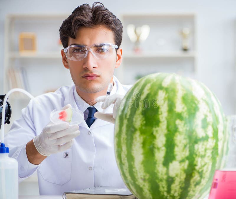 Scientist Testing Watermelon in Lab Stock Image - Image of dieting ...