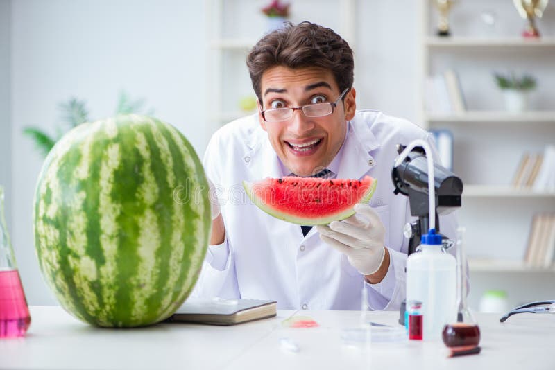 The Scientist Testing Watermelon in Lab Stock Image - Image of medical ...