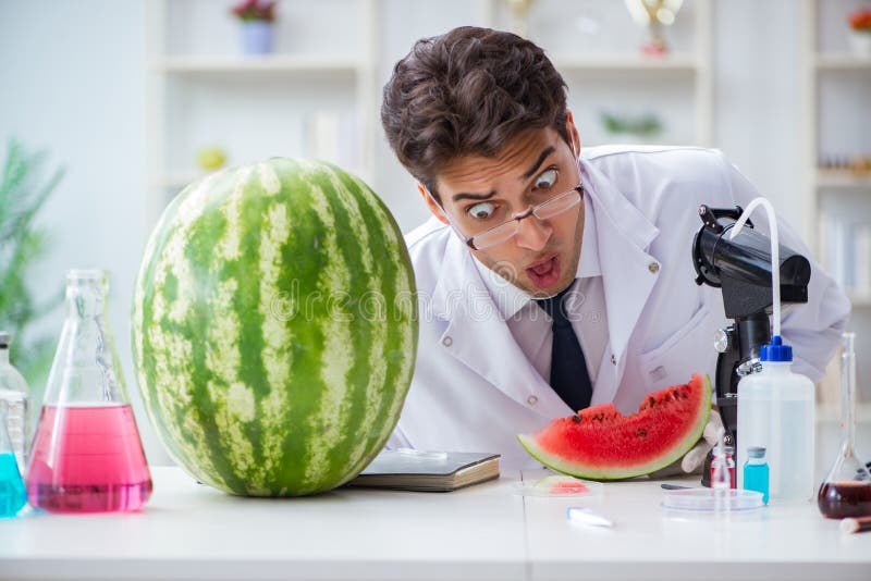 The Scientist Testing Watermelon in Lab Stock Photo - Image of eating ...