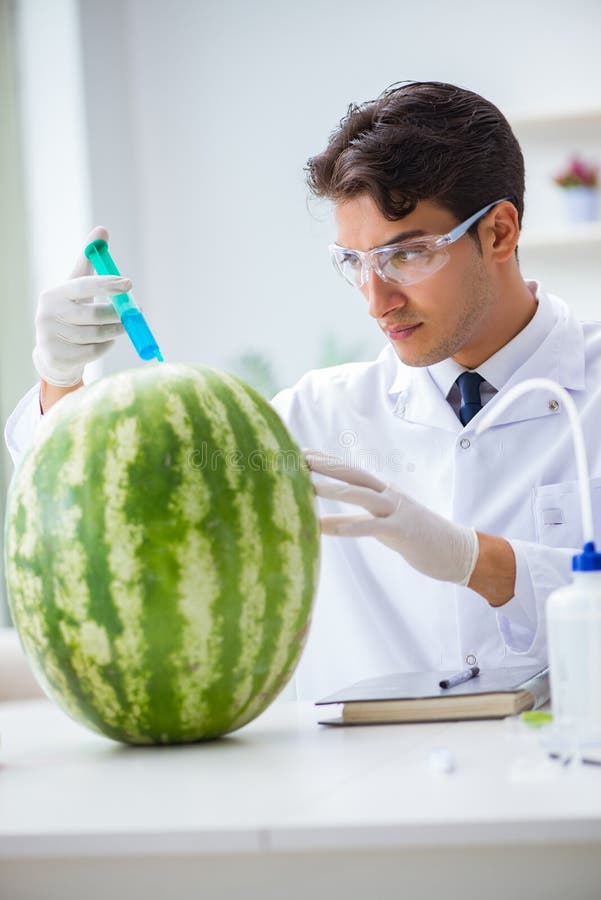 The Scientist Testing Watermelon in Lab Stock Photo - Image of ...