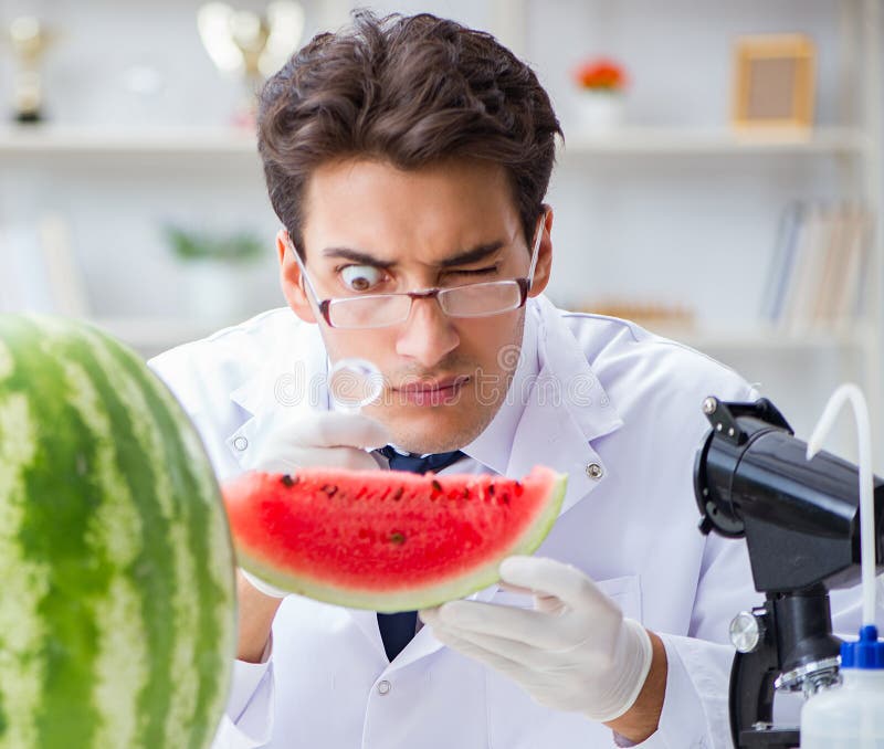Scientist Testing Watermelon in Lab Stock Photo - Image of experiment ...