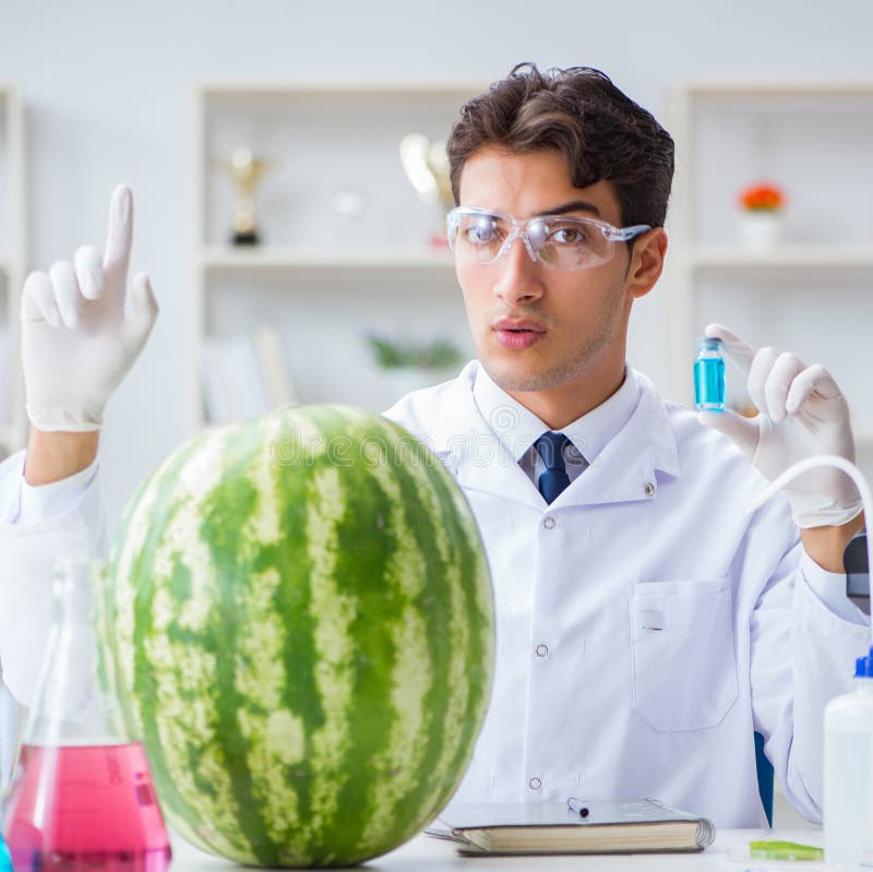 Scientist Testing Watermelon in Lab Stock Photo - Image of nutrition ...