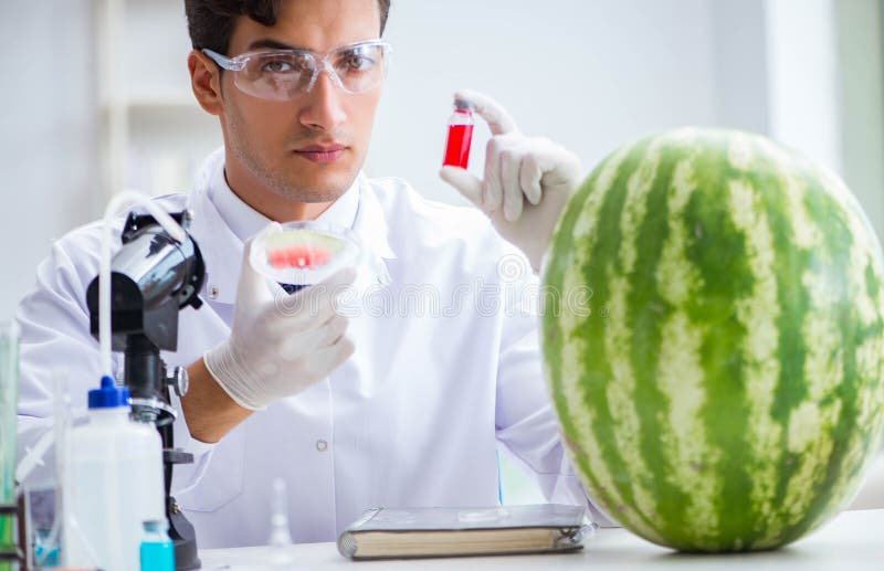 Scientist Testing Watermelon in Lab Stock Image - Image of chemical ...