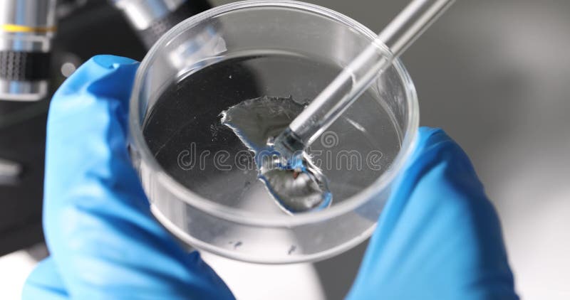 Scientist Tests Liquid in Container with Pipette in Lab Stock Footage ...