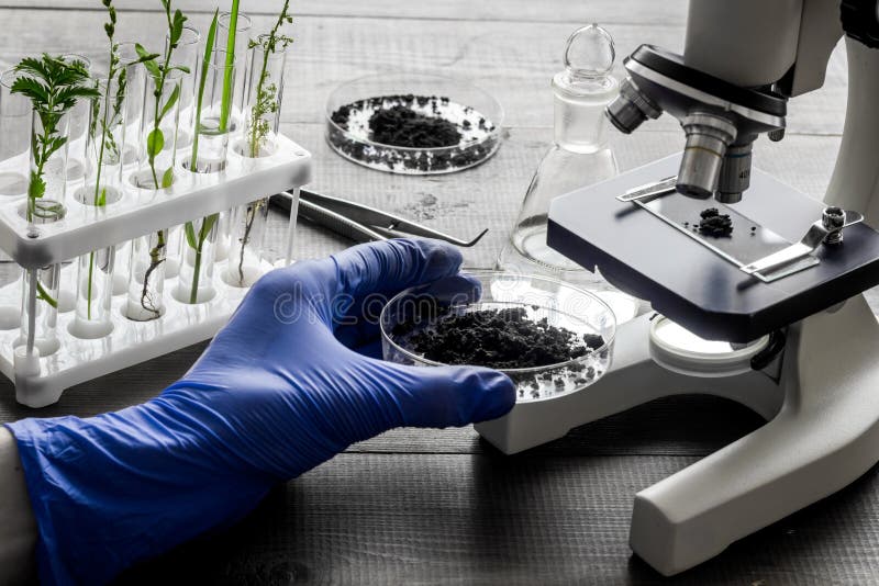 Scientist Tests Plants with Microscope in Laboratory. Overhead View ...