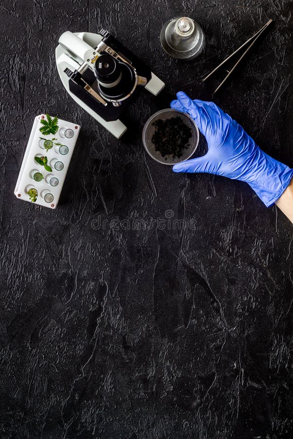 Scientist Tests Plants with Microscope in Laboratory. Overhead View ...