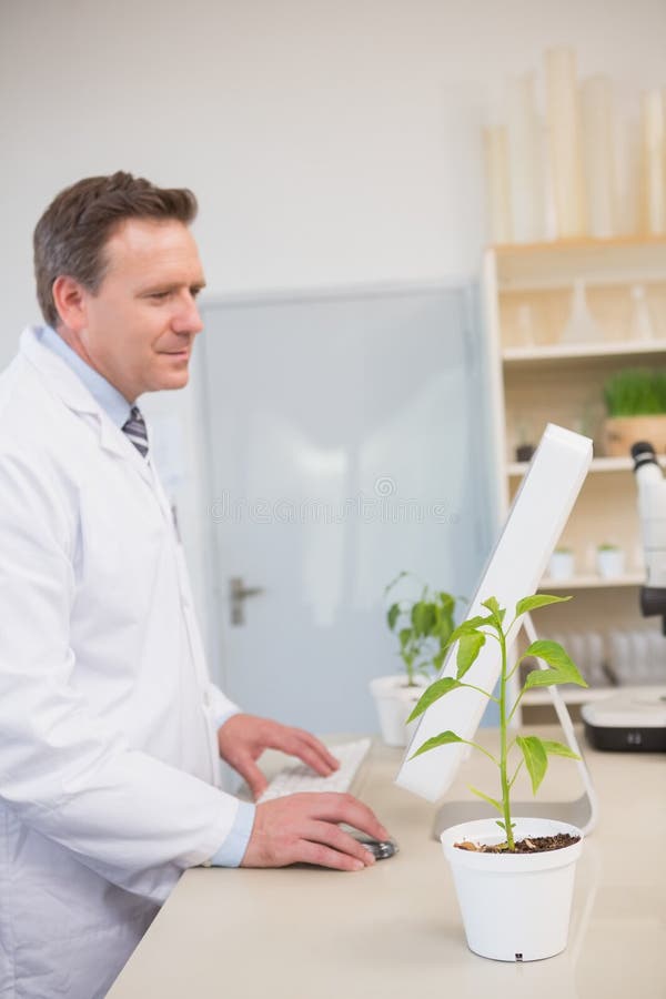 Scientist using computer stock image. Image of person - 53087731