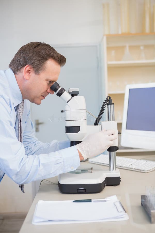 Scientist Using Computer and Microscope Stock Photo - Image of indoors ...