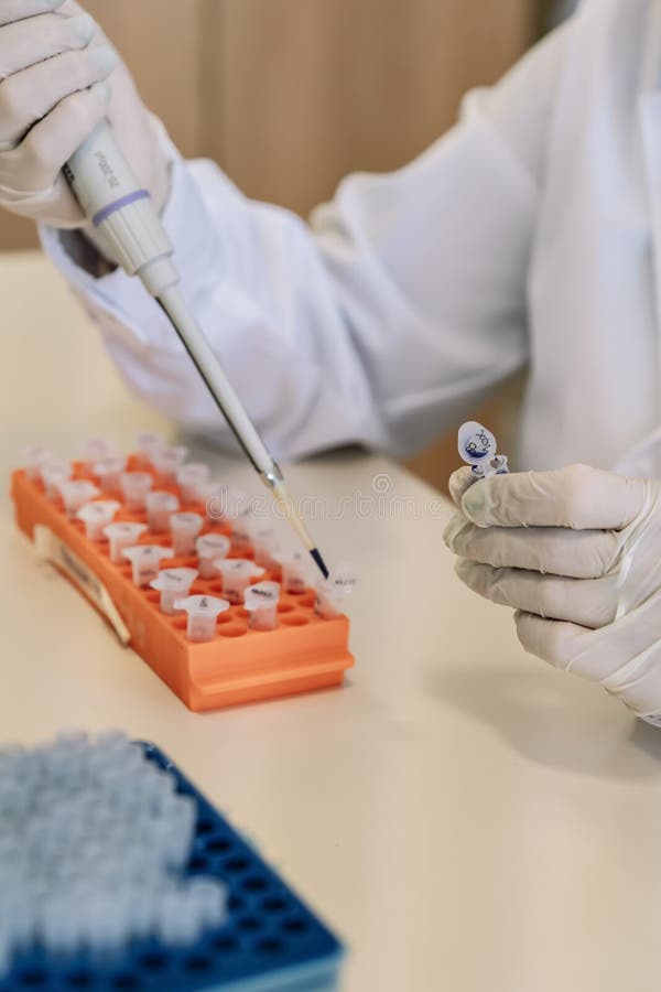 Scientist Using Eppendorf Micropipette Transfer Sample Stock Photo ...
