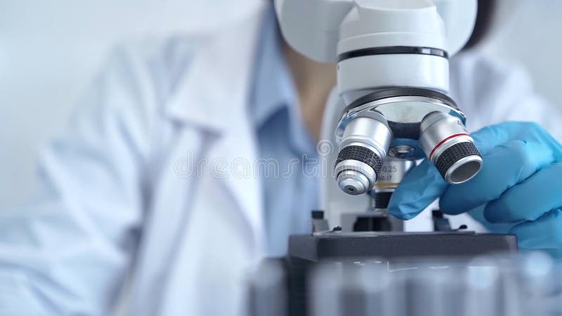 Scientist Using Microscope in Laboratory. Close-up of a Researcher S ...
