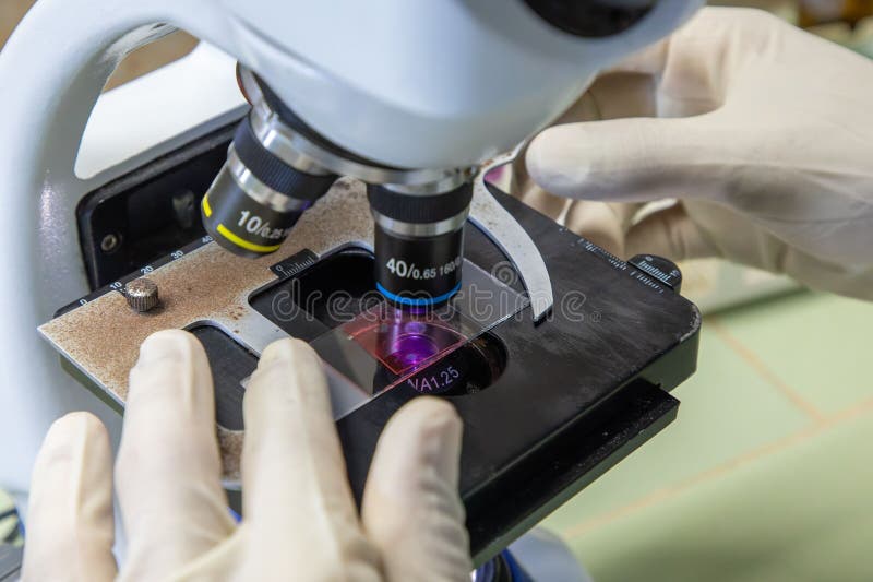 Scientist Using a Microscope in a Laboratory. Stock Photo - Image of ...