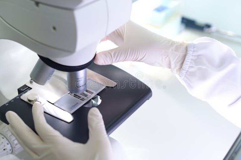 Scientist Using the Microscope in Research and Development Lab. Stock ...