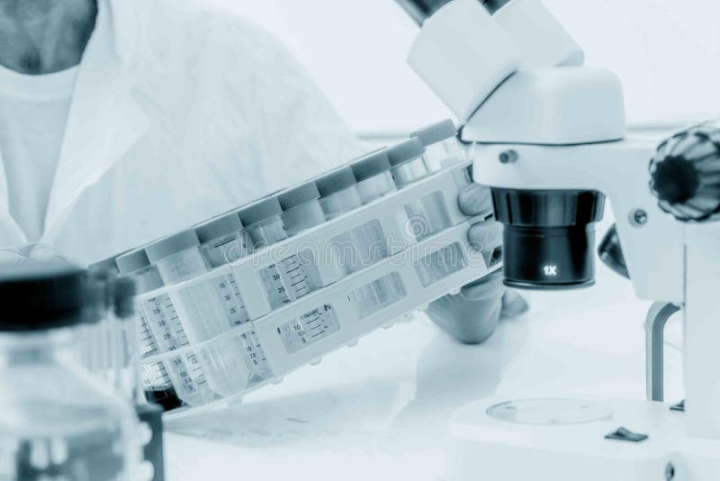 Scientist Using Microscope for Scientific Experiment in Laboratory ...