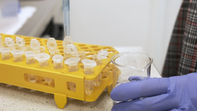 Preparation for the Experiment. Children Play in the Laboratory. Little ...