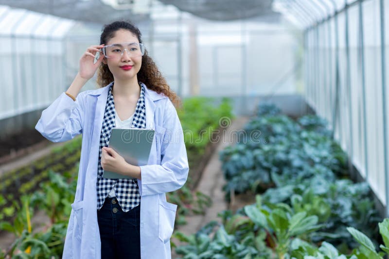 Scientist Using Tablet or Smart Phone. Scientist Work at Vegetable ...
