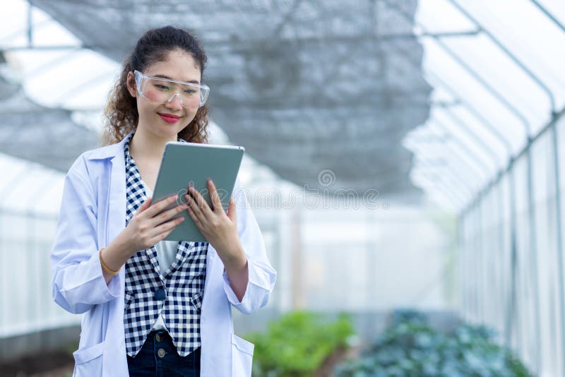 Scientist Using Tablet or Smart Phone. Scientist Work at Vegetable ...