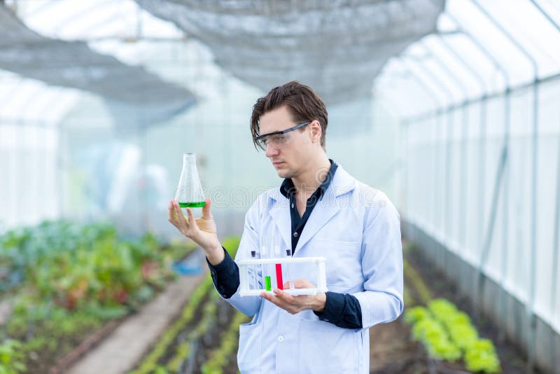 Scientist Using Test Tube. Scientist Work at Vegetable Garden Lab Site ...