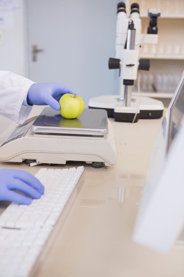Scientist weighing apple stock photo. Image of modification - 53087804