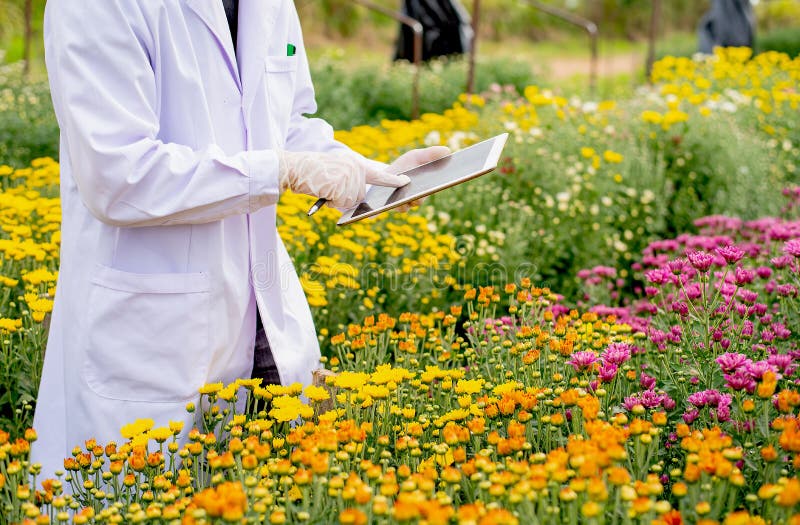 Scientist with White Lab Gown and Green Gloves Use Magnifying Glass To ...