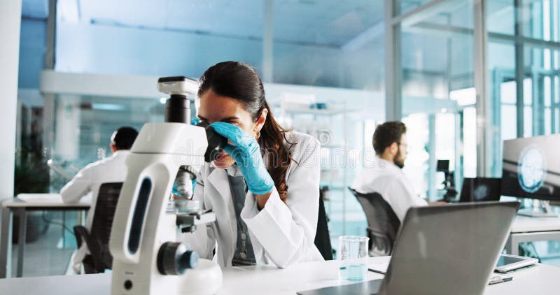 Scientist, Woman or Microscope with Analysis in Laboratory for Sample ...