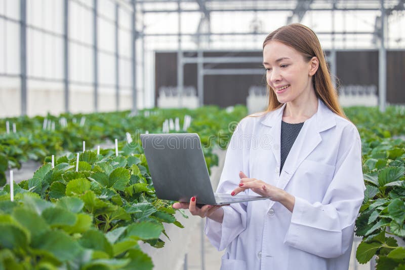 Scientist Work Collecting Record Plant Farm Grow Data in Computer ...