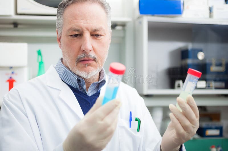 Scientist at Work in a Laboratory Stock Image - Image of experiment ...
