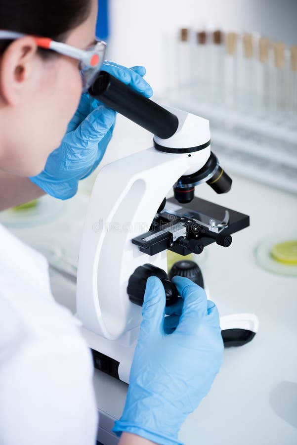 Scientist during Work with Microscope at Modern Biological Laboratory ...