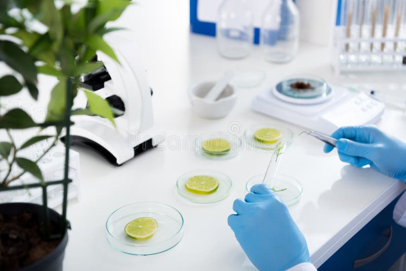 Scientist during Work at Modern Biological Laboratory Stock Photo ...